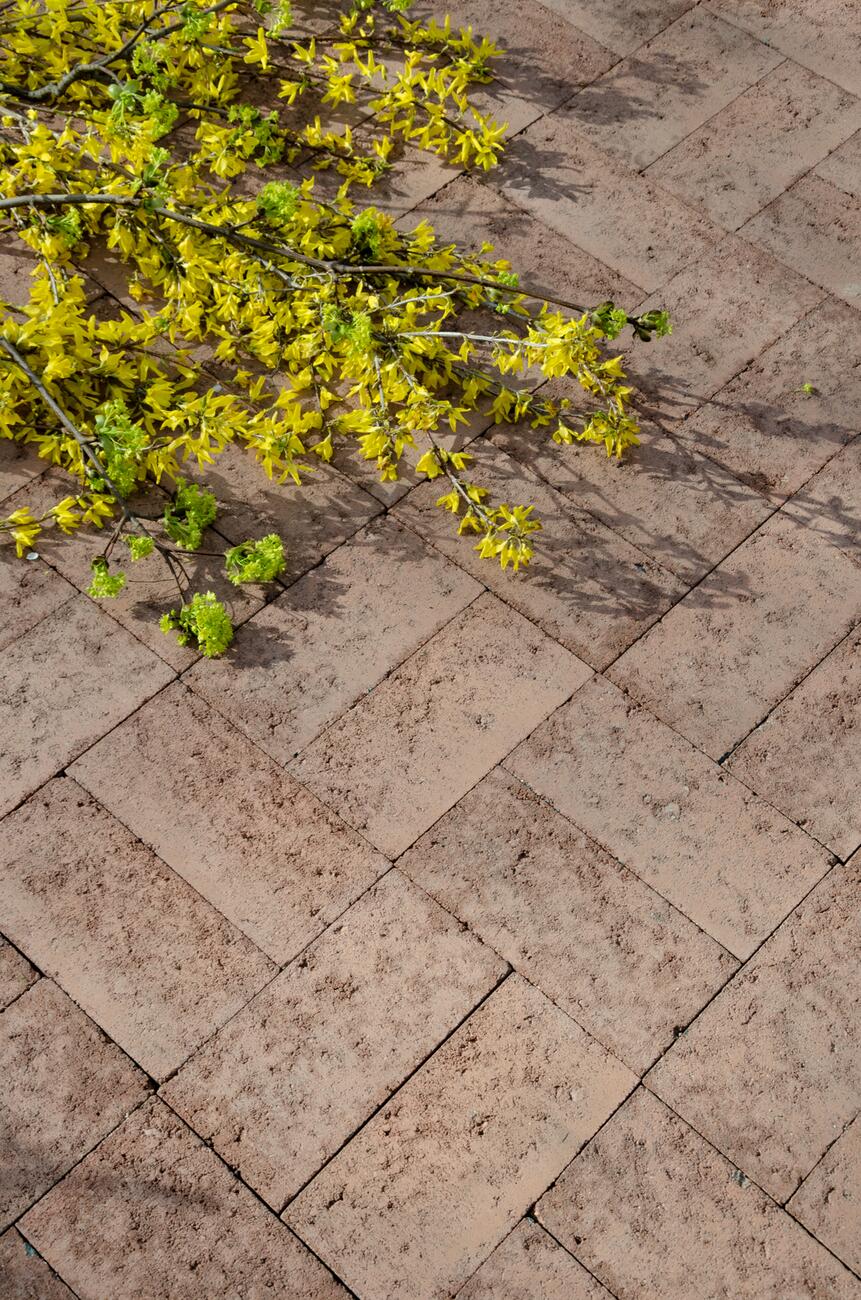 Betonová zdicí CIHLA | Beton E-shop
